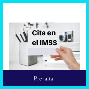 Pre-alta IMSS - imsssat